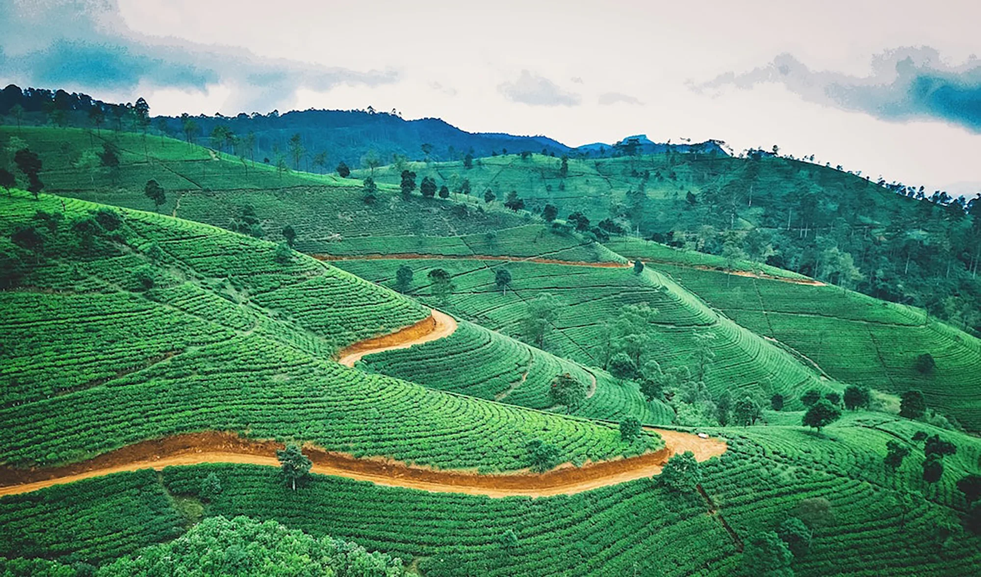Nuwara Eliya - Driving in Sri Lanka